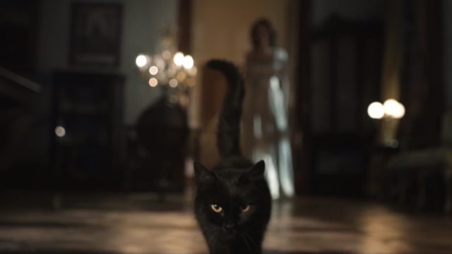 Commercials - Magiclab